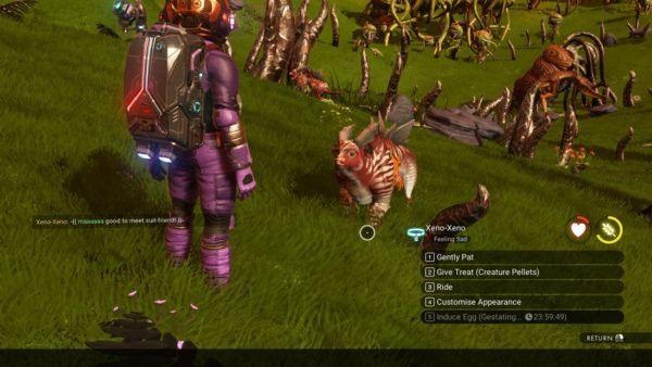 NO MAN’s SKY: How To Adopt Pets & Ride Animals
