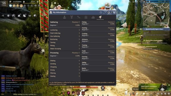 20+ Best BLACK DESERT ONLINE (BDO) Tips & Tricks For Beginners