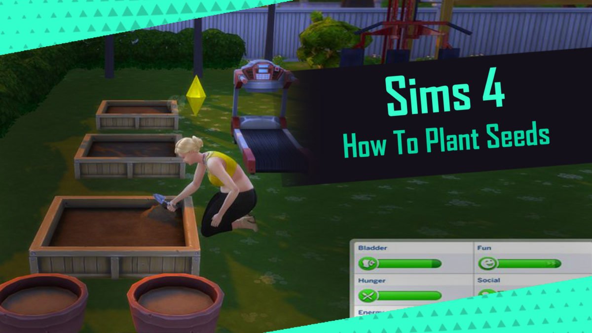 SIMS 4: How To Plant Seeds (Step By Step Guide)